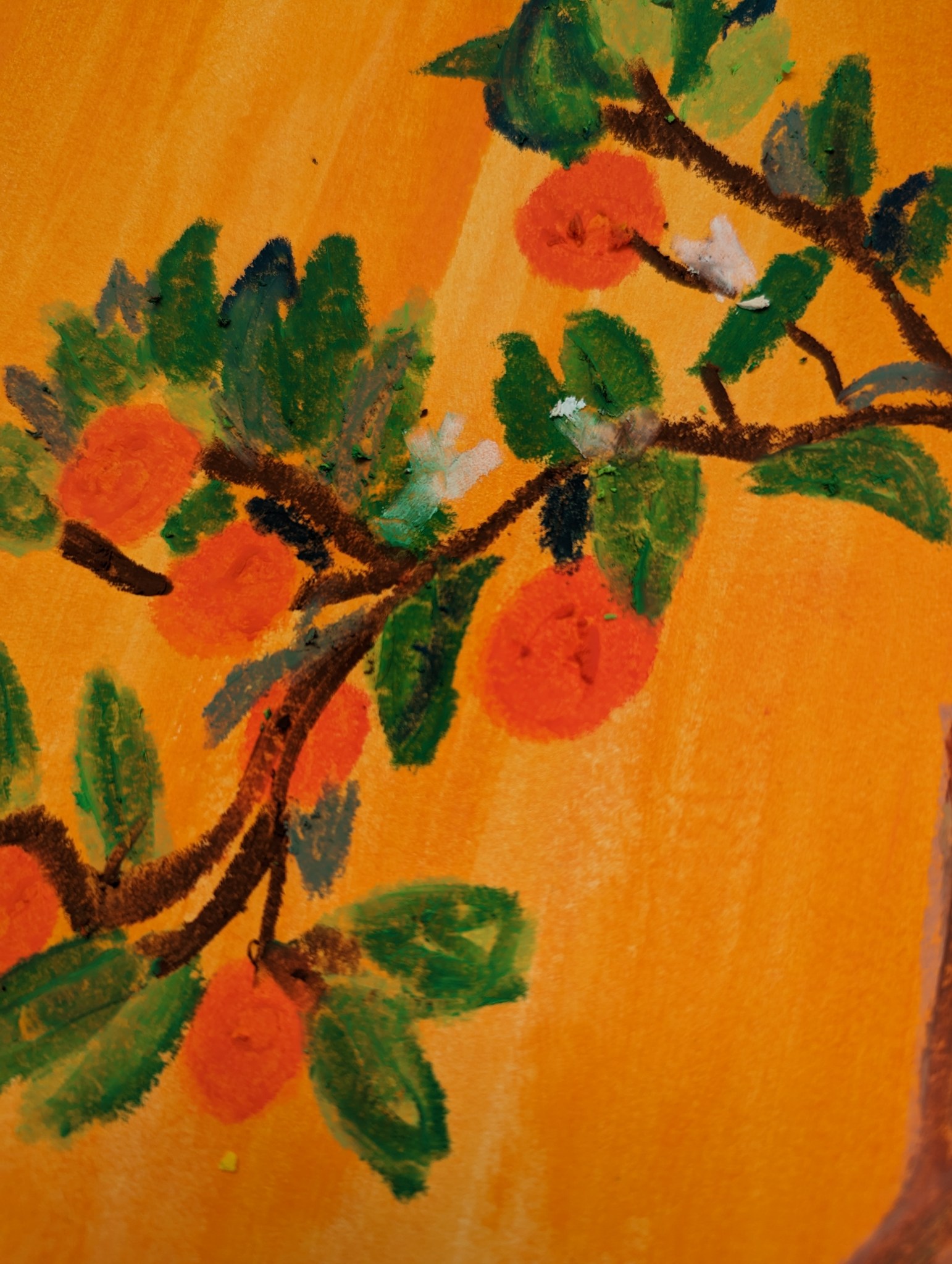 Orange – Robin Harrison