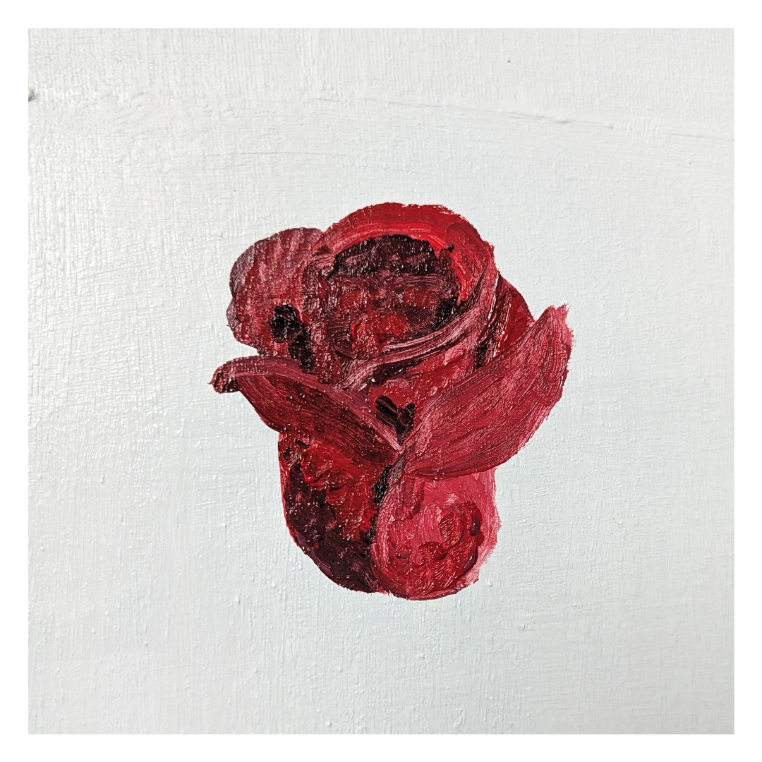 Midnight Rose – Robin Harrison