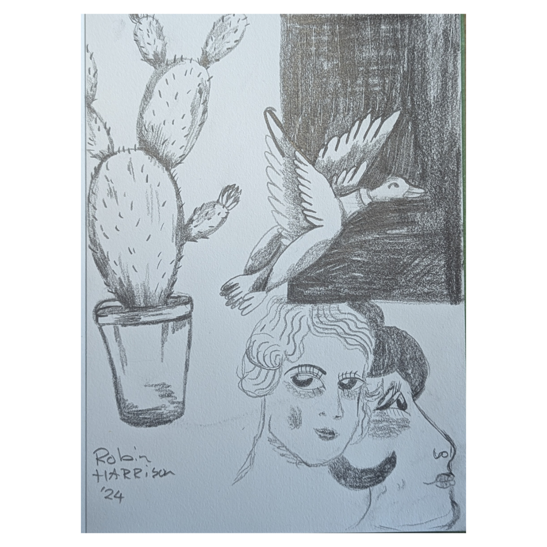 Robin Harrison – Art & Photography by Robin Harrison