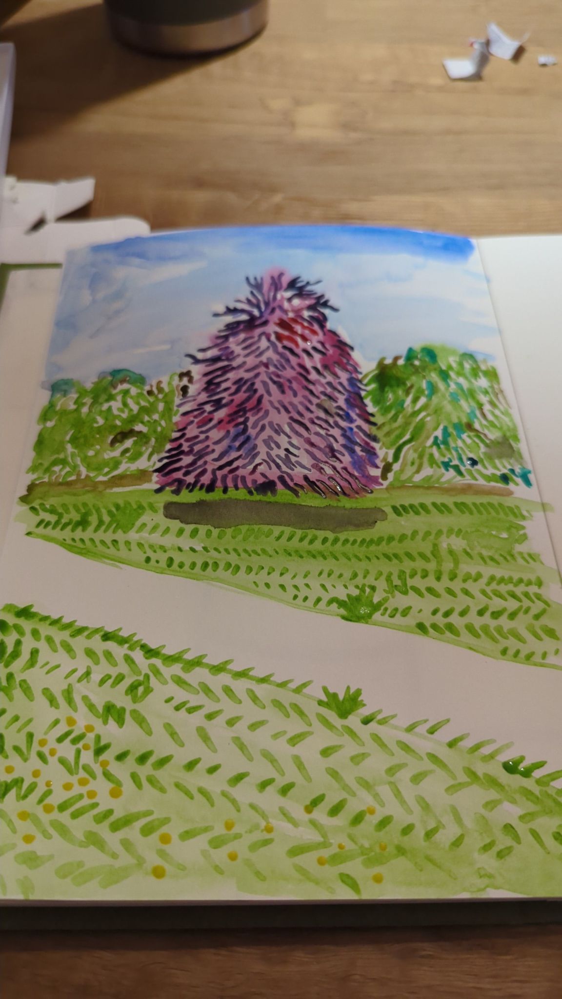 Tonight’s watercolour – Robin Harrison