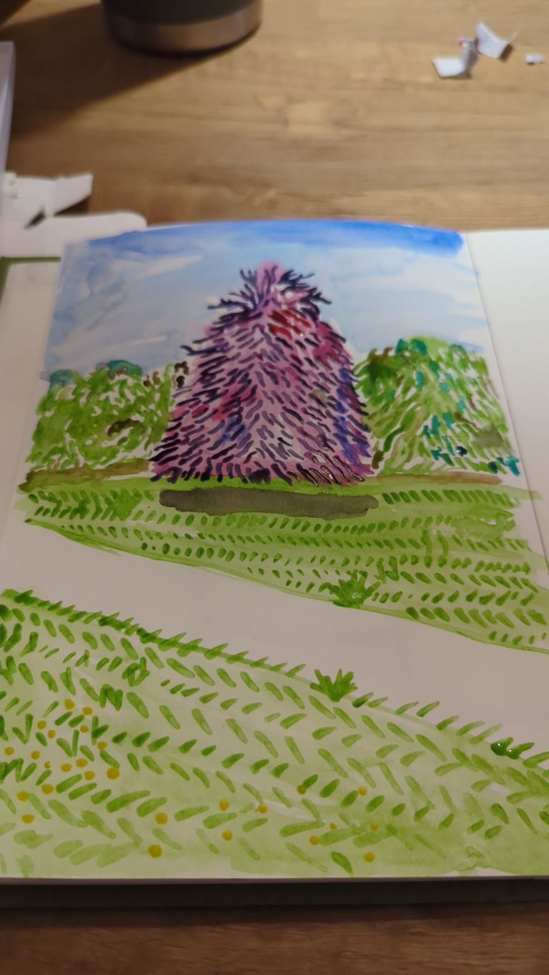 Tonight’s watercolour – Robin Harrison