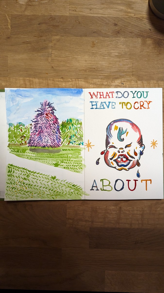 Tonight’s watercolour – Robin Harrison