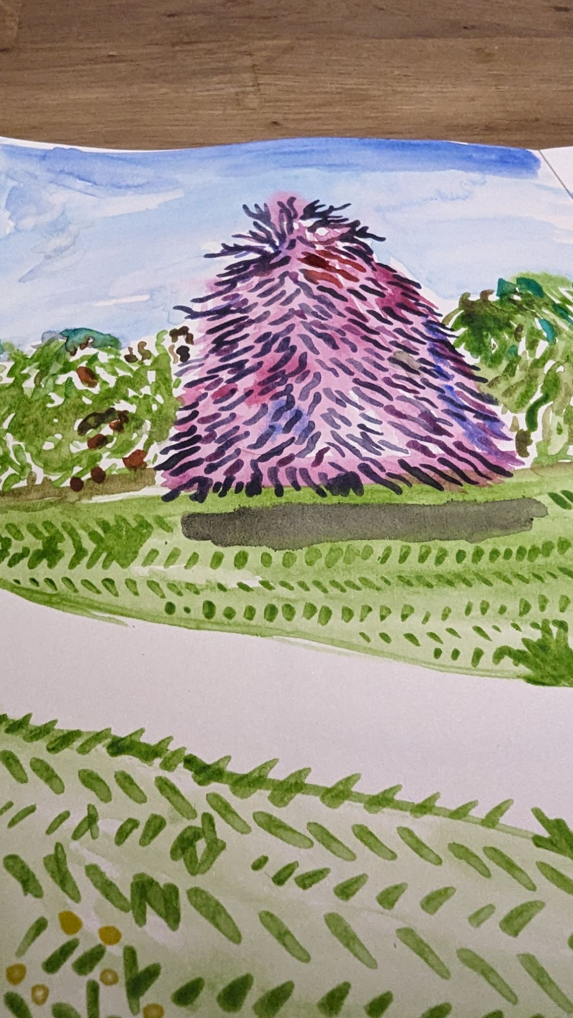 Tonight’s watercolour – Robin Harrison